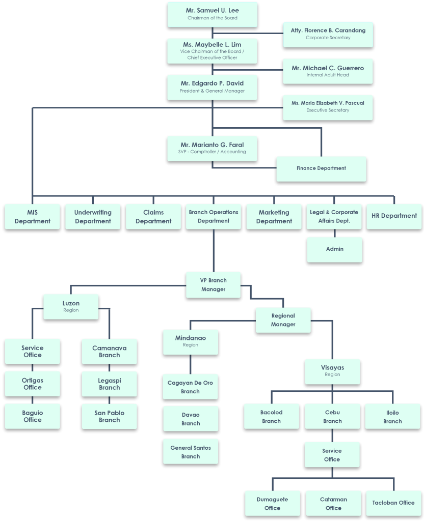 Organizational Structure — Travellers Insurance & Surerty Corp.